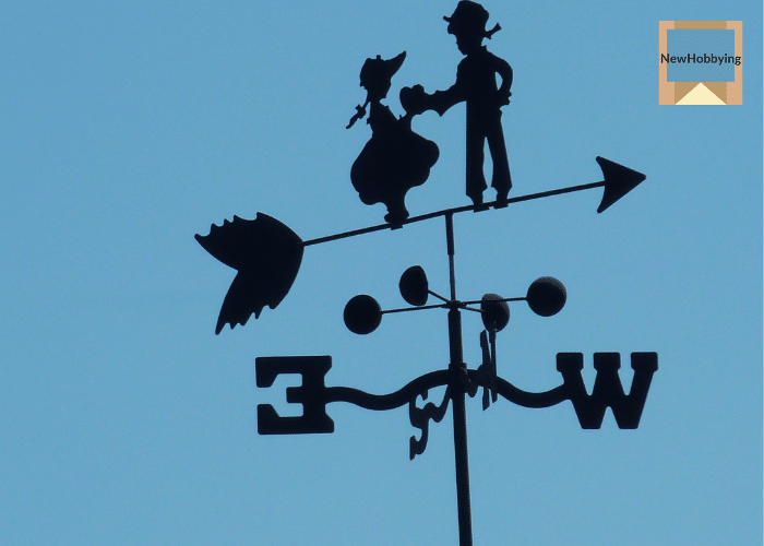 How to Start Collecting Weather Vanes: A Beginner's Guide - NewHobbying